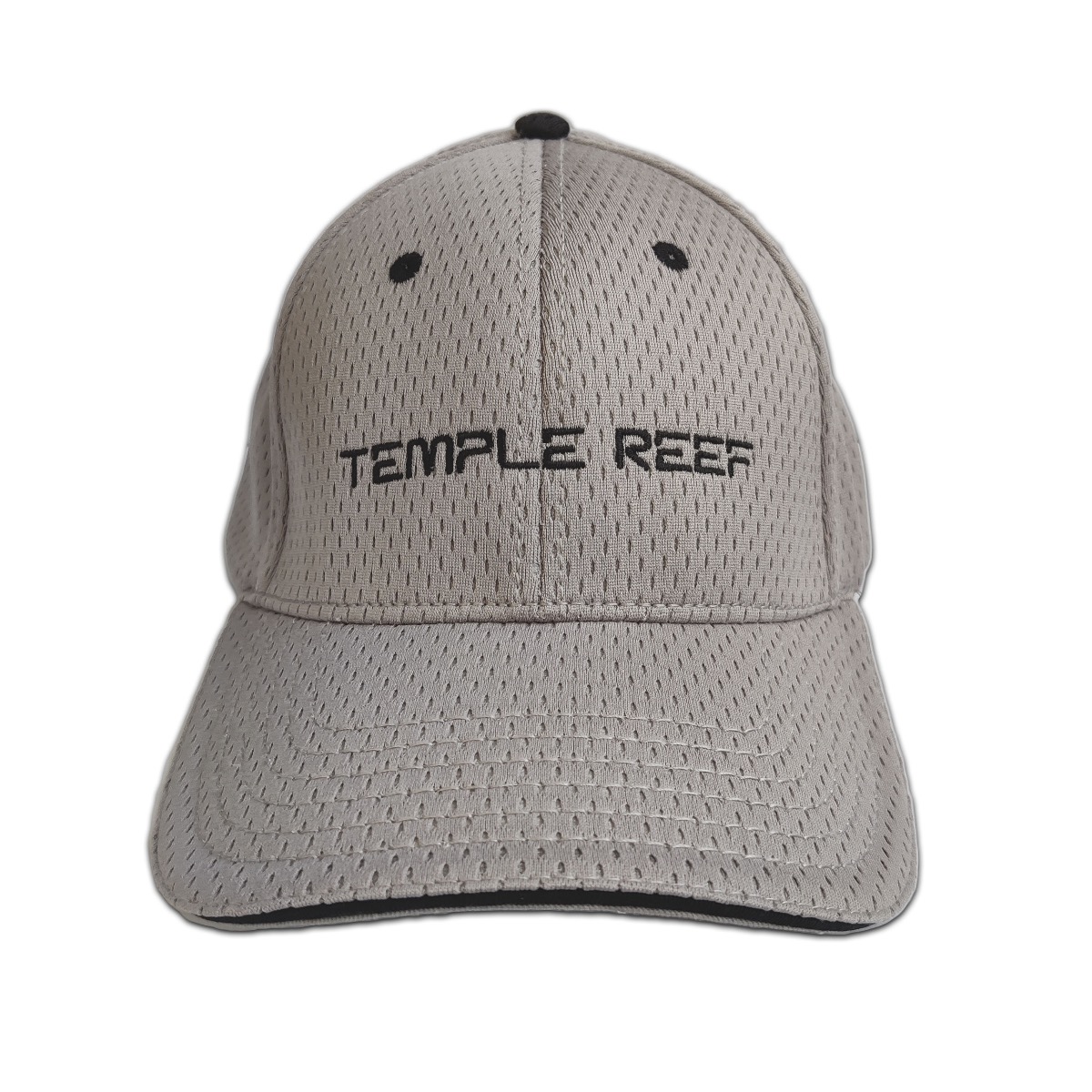 TEMPLE REEF CAP 2 - GRAY - Шапки