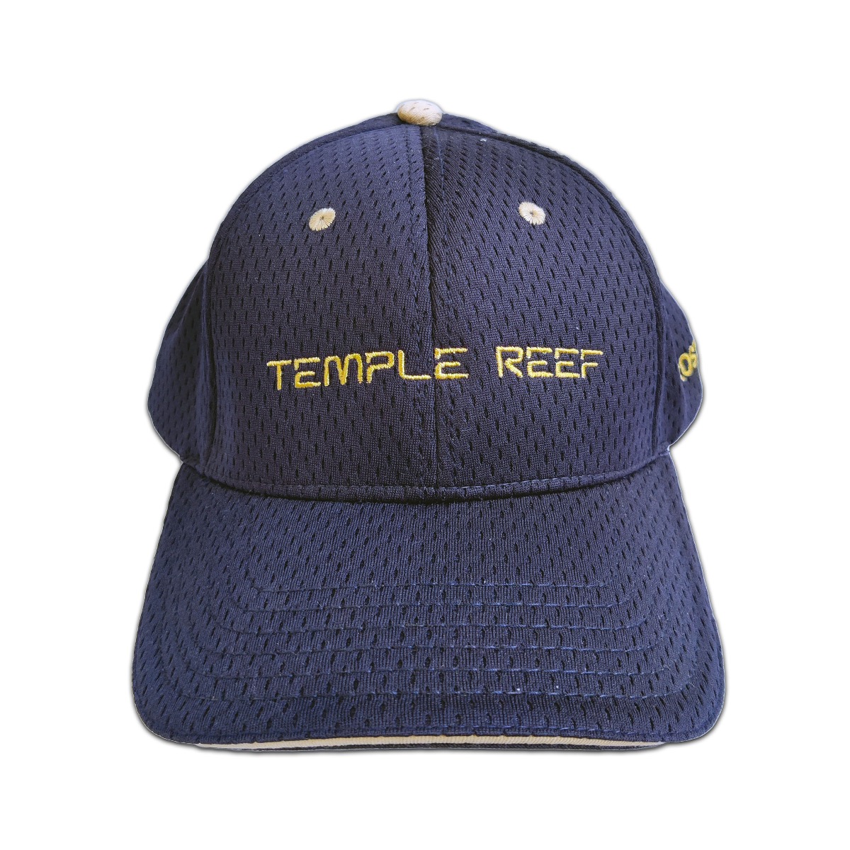 TEMPLE REEF CAP 2 - NAVY - Hats